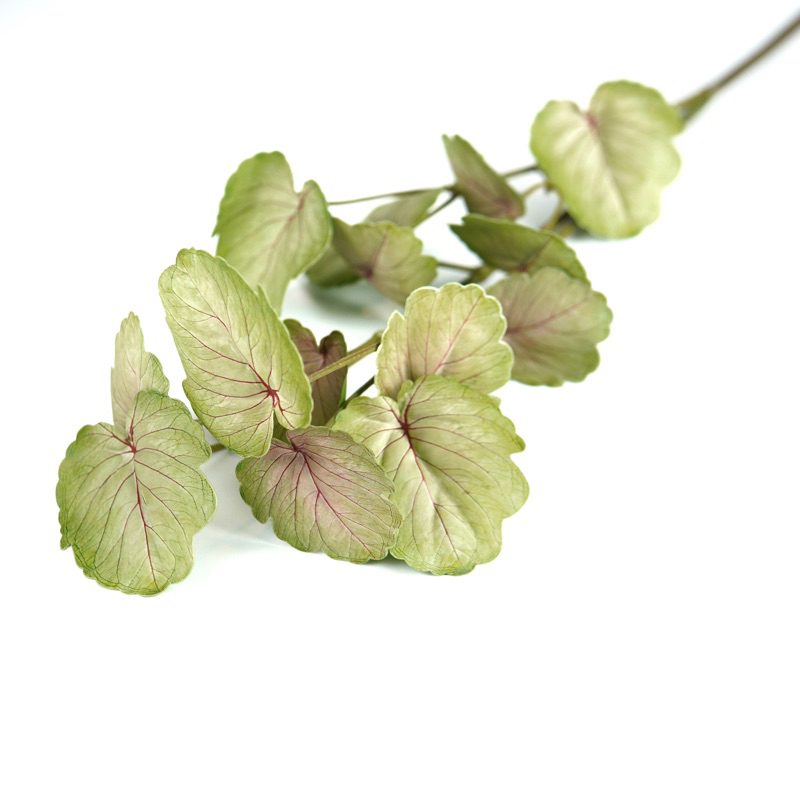 Polyscias | ใบเล็บครุฑปลอม ใบไม้ปลอม ดอกไม้ปลอม ดอกไม้ประดิษฐ์ ไว้ตกแต่งบ้าน (P06) [พร้อมส่ง ...