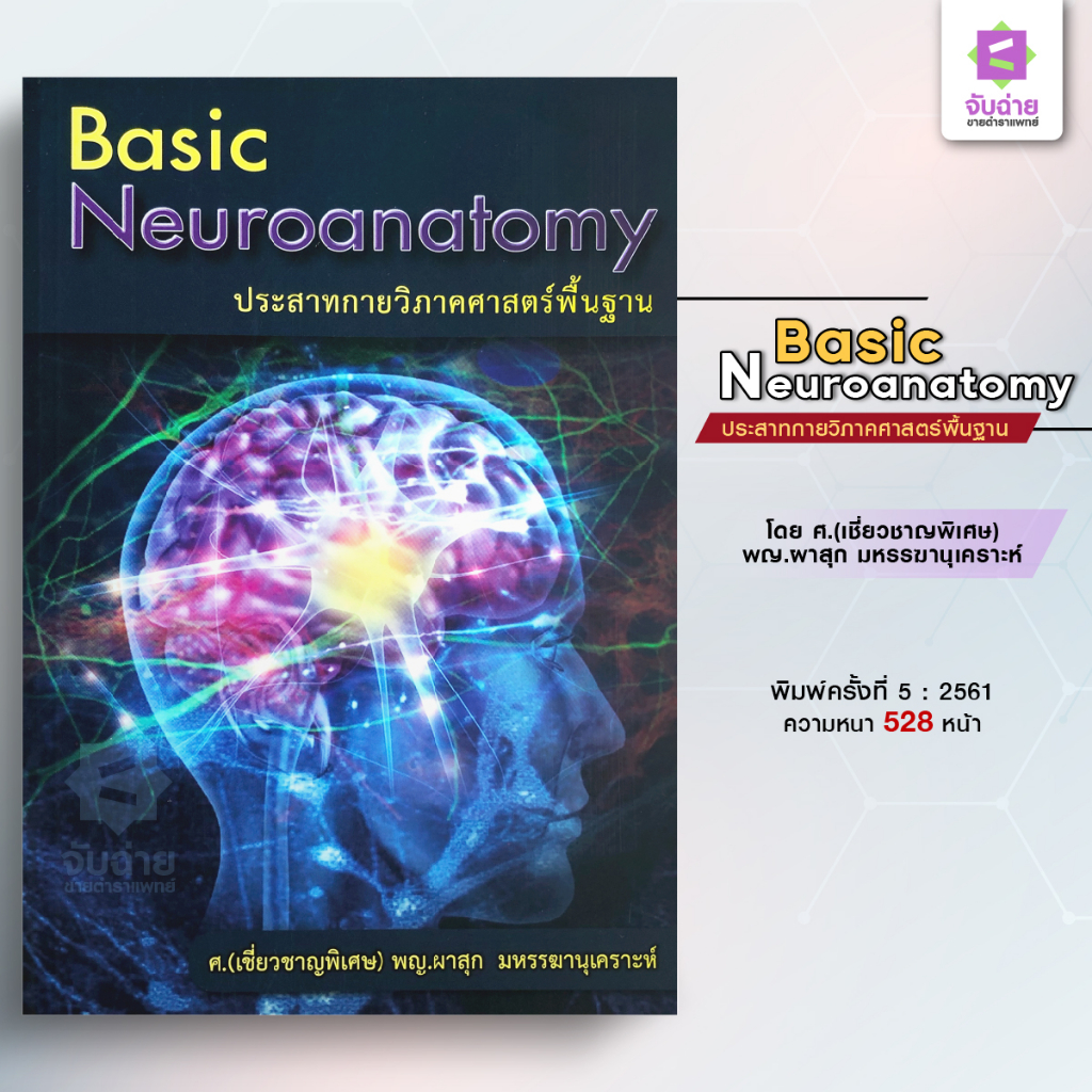 Basic neuroanatomy ประสาทกายวิภาคศาสตร์ | Shopee Thailand