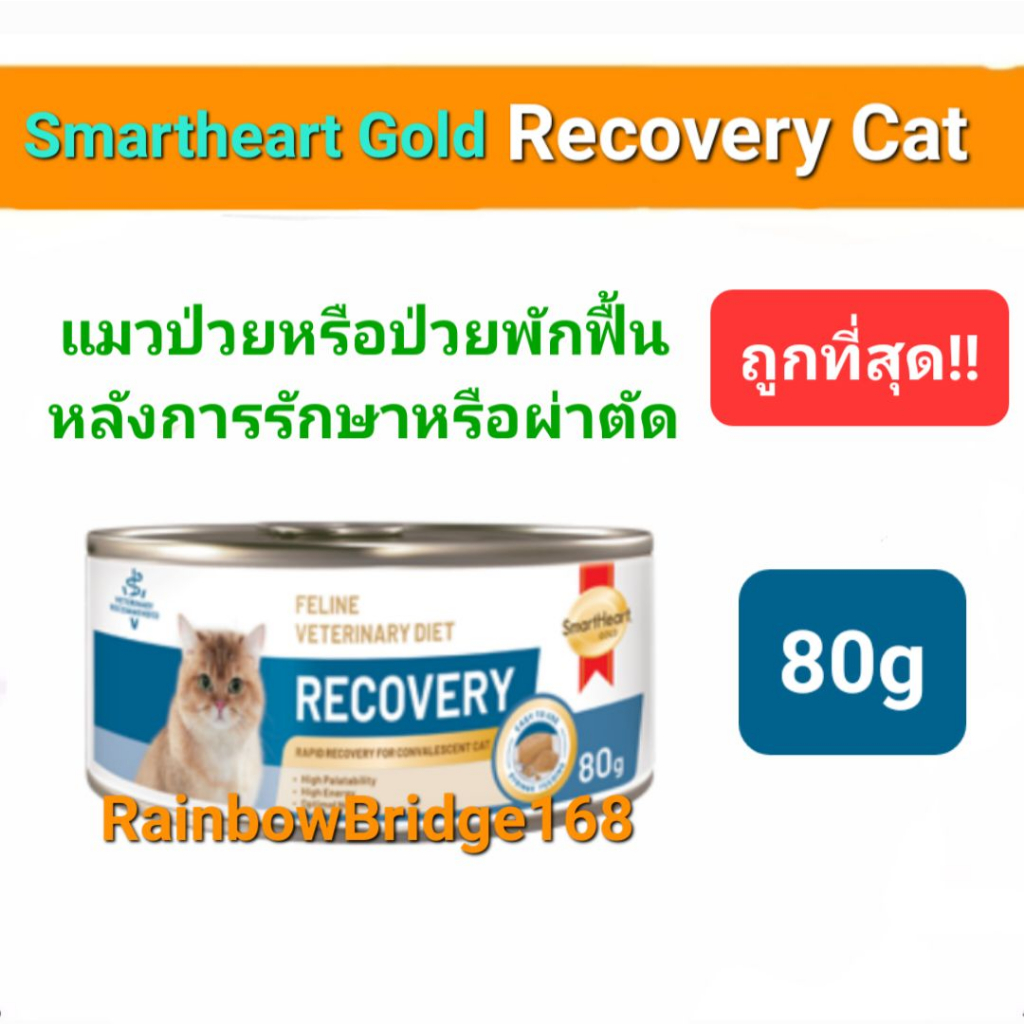 SmartHeart Gold RECOVERY 80g Cat สมาร์ทฮาร์ท โกลด์ อาหารเปียก แมวป่วย ...