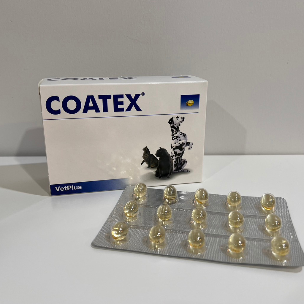 Coatex Dogs/Cats Help Skin & Coat 60 caps อาหารเสริม บำรุงเส้นขนและ ...