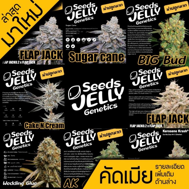 เมล็ด ค่าย Jelly seeds Genetics โฟโต้ เมล็ด เมียคัด | Shopee Thailand