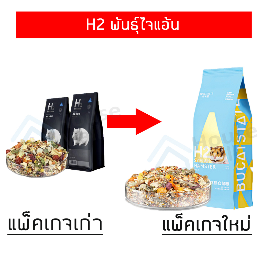 อาหารหนูแฮมสเตอร์ Hammer Food แฮมสเตอร์ แฟตเทล ไจแอ้น แคระ Bucatstate ...