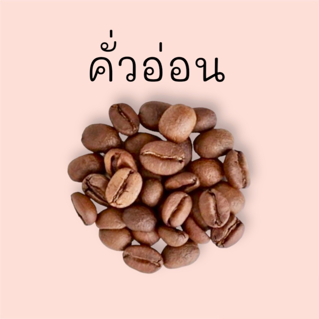 กาแฟมณีพฤกษ์ จ.น่าน อาราบิก้า 100% (คัดเมล็ด) บรรจุ 500 กรัม Manipruek ...