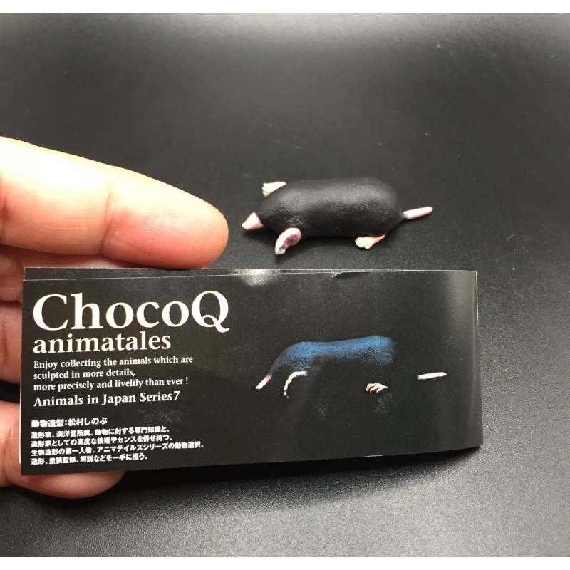 ฟิกเกอร์ โมเดล สัตว์ จิ๋ว ตุ่น น่ารัก Kaiyodo Animatales Chocoq Choco Q Series 7 Mole Figure ...