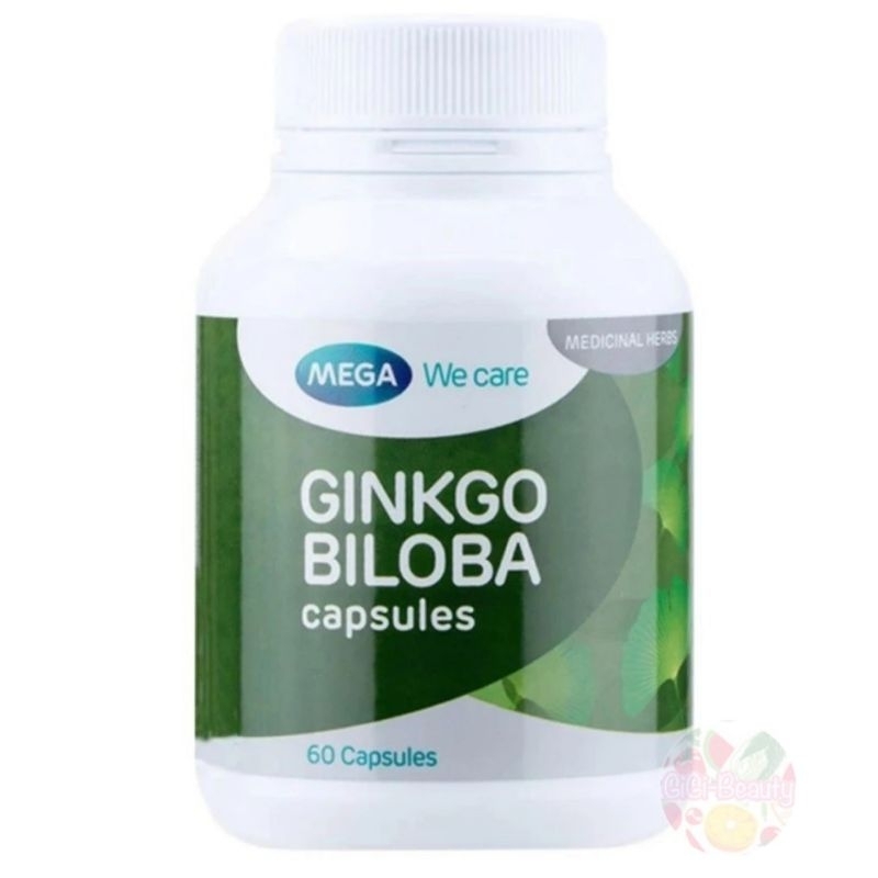 Mega Ginkgo Biloba เมก้า วี แคร์ กิงโกะ บิโลบา 60 แคปซูล เมก้า สารสกัด ...