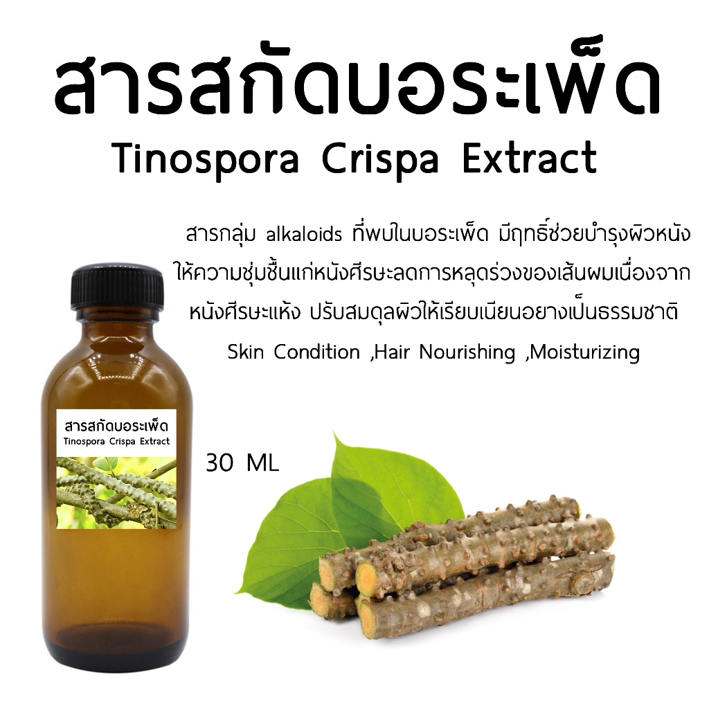 สารสกัดบอระเพ็ด Tinospora Crispa Extract 30 ML. | Shopee Thailand