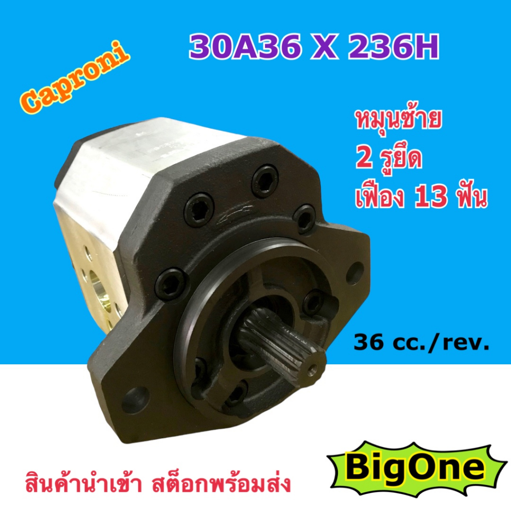 ปั๊มไฮดรอลิค เกียร์ปั๊ม "CAPRONI" 36 cc รุ่น 30A36 X 236H หมุนซ้าย ...