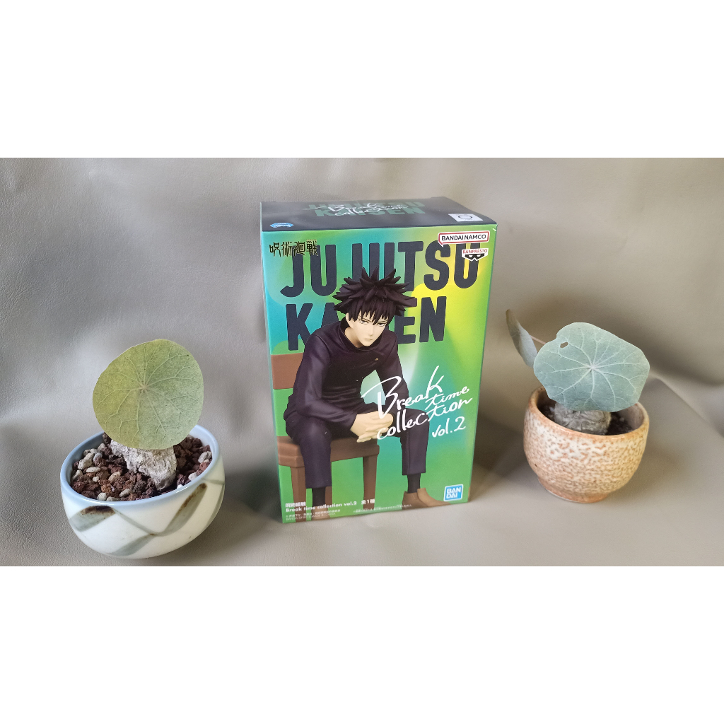 JUJUTSU KAISEN BREAK TIME COLLECTION - Yuji Itadori / Megumi Fushiguro ...