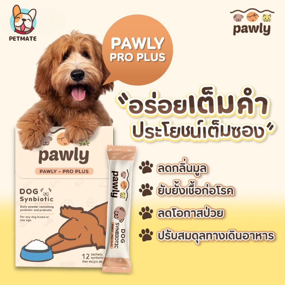 Pawly Pro Plus ผงโรยอาหารหมา พรีไบโอติกและโปรไบโอติก เสริมภูมิคุ้มกัน ปรับสมดุลทางเดินอาหาร ...