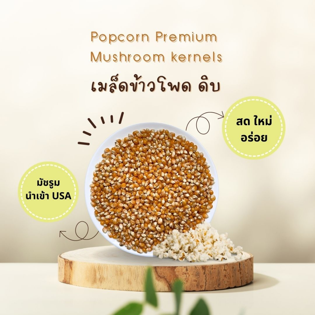 เมล็ดข้าวโพดดิบ มัชรูม Popcorn Premium Mushroom kernels นำเข้าจาก USA | Shopee Thailand