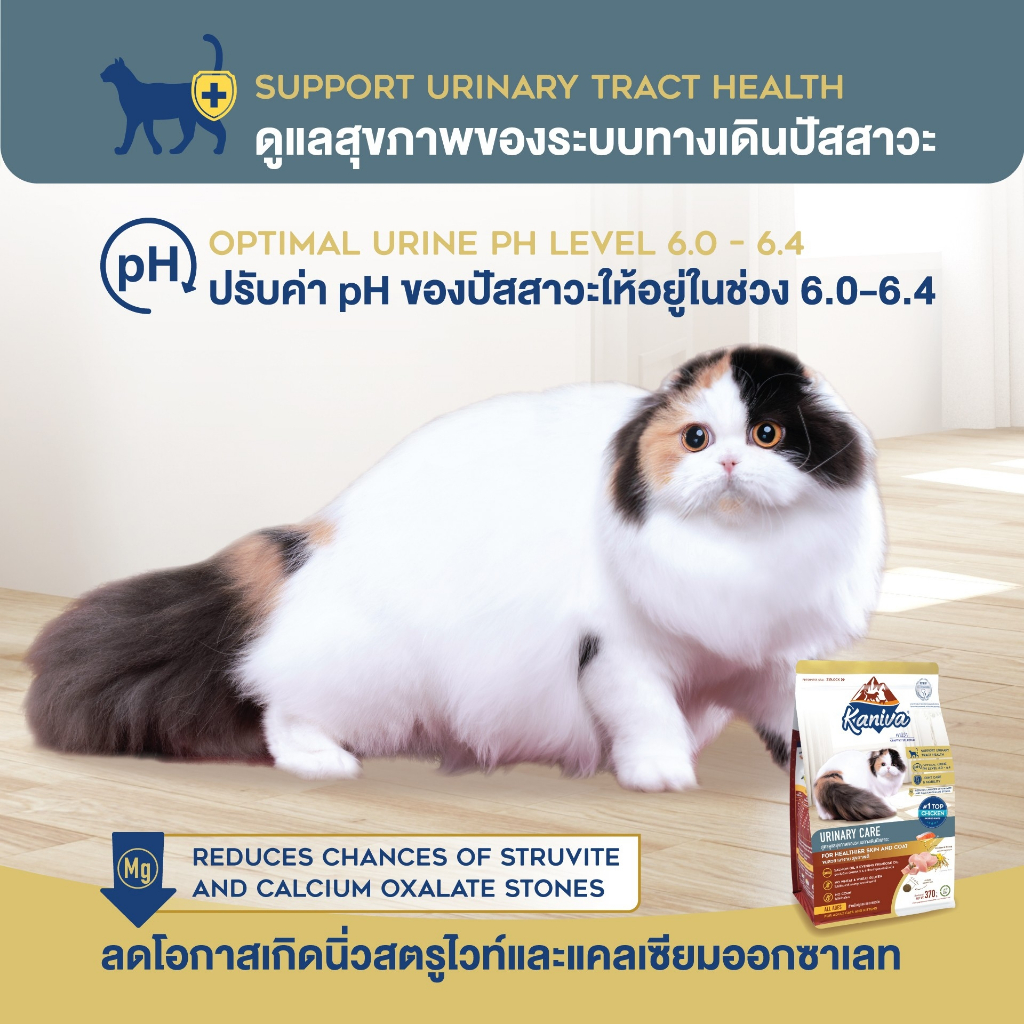 Kaniva Urinary Care 8 KG. อาหารแมว สูตรดูแลสุขภาพของระบบทางเดินปัสสาวะ ...