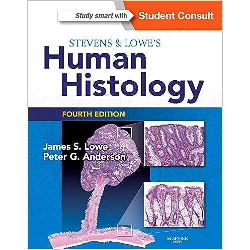 [หนังสือ] Stevens and Lowe's Human Histology ตำรา เนื้อเยื่อวิทยา ...