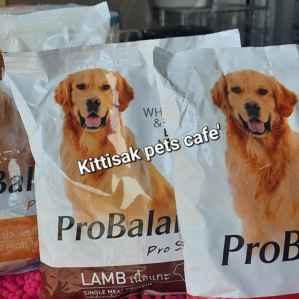 ***ขนาดทดลอง 500g.*** อาหารสุนัขโปรบาลานซ์(ProBalance) เหมาะสำหรับสุนัขโต 1 ปีขึ้นไปทุกสายพันธุ์ ...