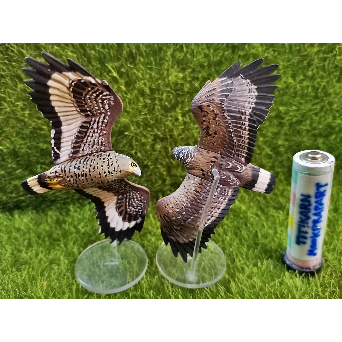 (มีของพร้อมส่ง) Gashapon กาชาปองนกอินทรีย์ แมวอิริโอโมเตะ Animals Of Japan Vol.07 Capsule Q ...