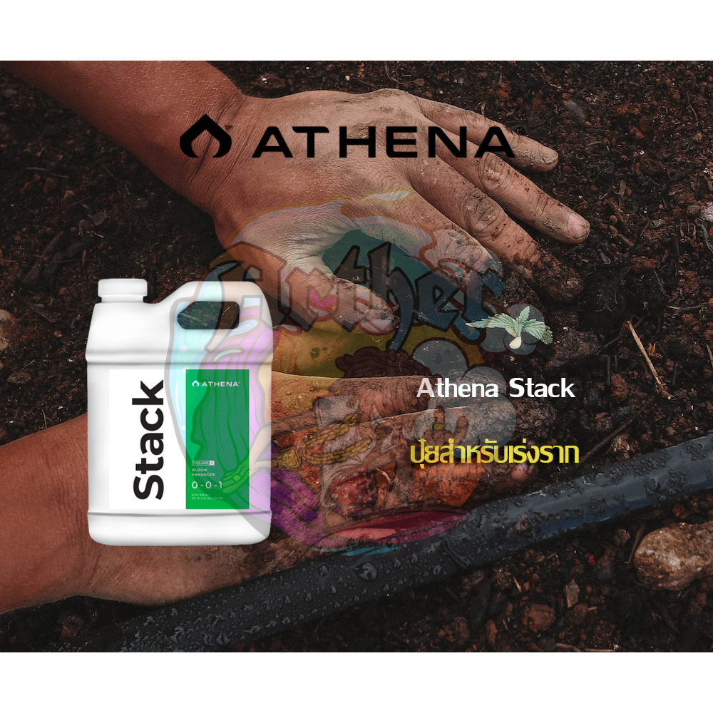 เร่งราก Athena Stack 946ML.บรรจุภัณฑ์แท้ | Shopee Thailand