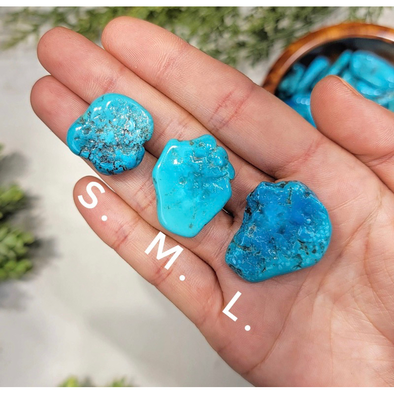 Sleeping Beauty Turquoise Tumble small Medium and Large size | Shopee ...