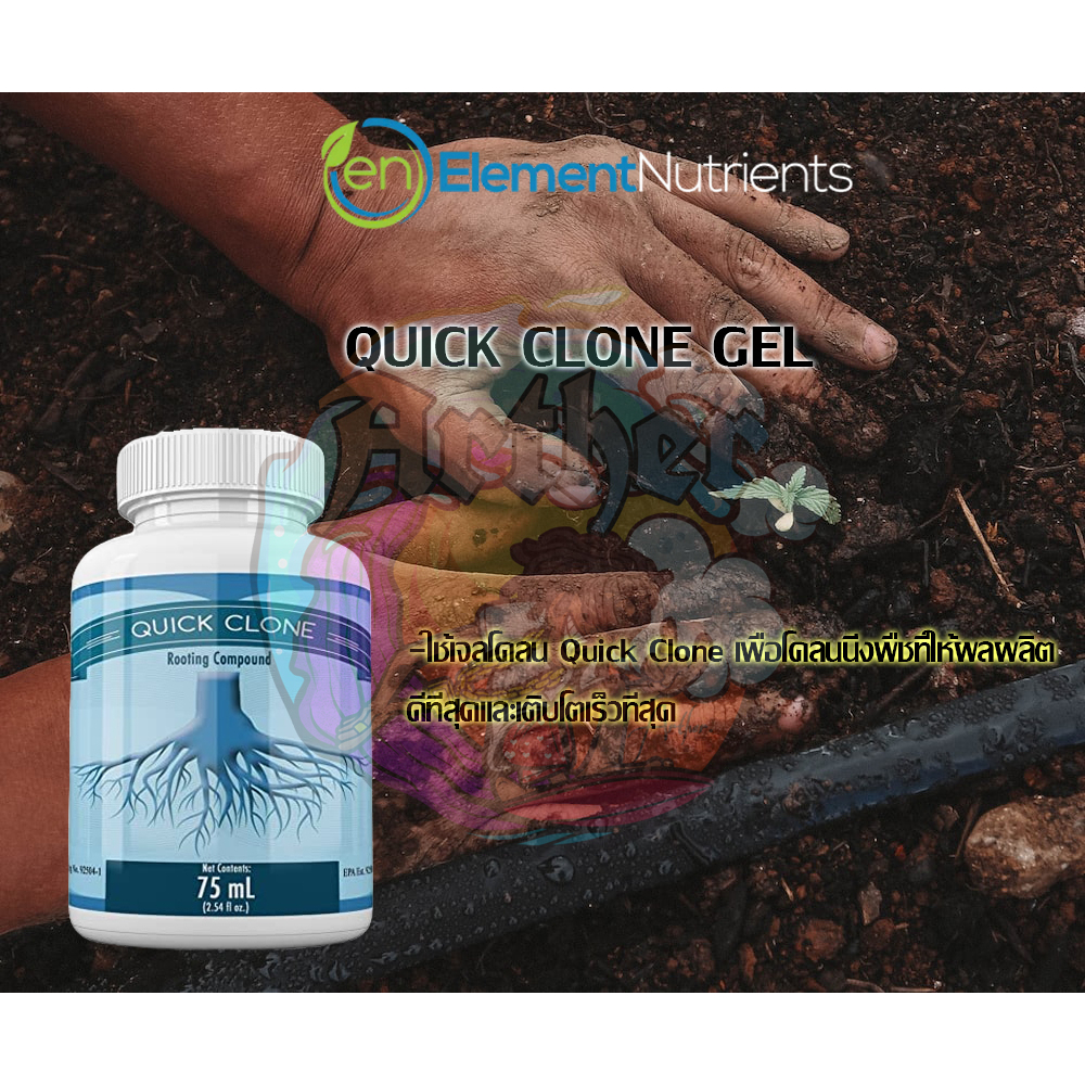 เจลโคลนกิ่ง QUICK CLONE GEL ขนาด 75ml. | Shopee Thailand