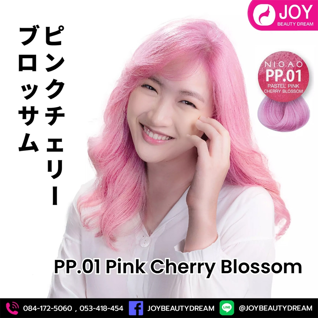 สีย้อมผมนิกาโอะ (NIGAO) ฟรีไฮโดเจน(3%-12%) | Shopee Thailand