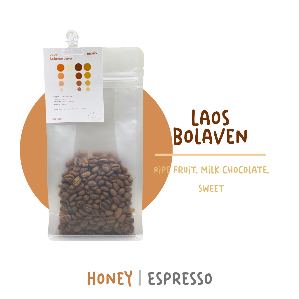 [แมวคั่ว] เมล็ดกาแฟ Laos Bolaven JAVA, Honey process 80g | Shopee Thailand