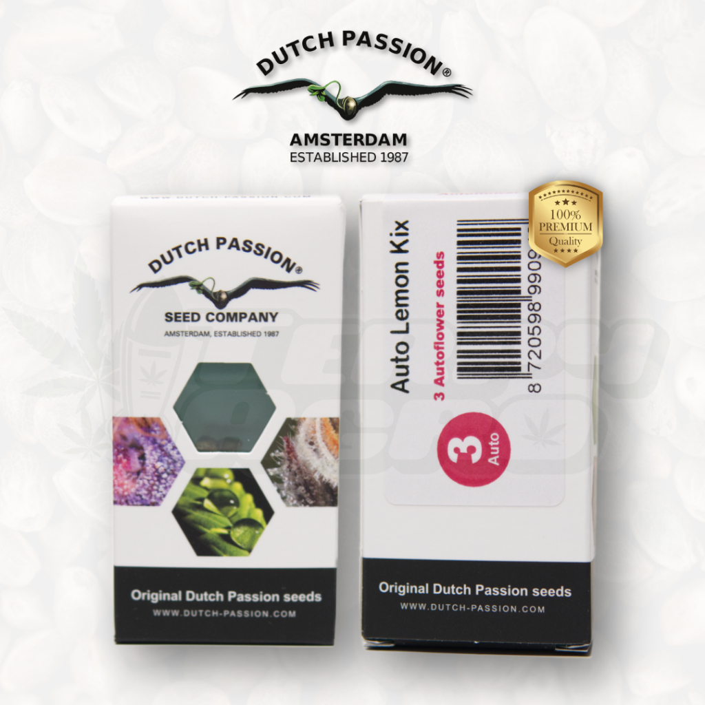 Auto Lemon Kix (Auto) - Dutch Passion เมล็ด กัญชา นำเข้าแท้100% เมล็ด ...