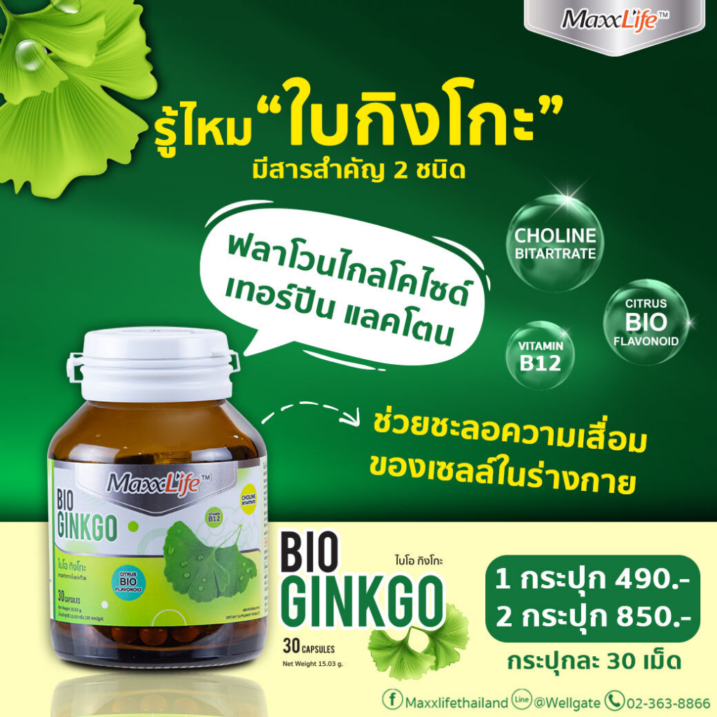 MaxxLife BIO GINKGO ช่วยชะลอความเสื่อมของเซลล์ในร่างกาย ช่วยบำรุงสมอง ...
