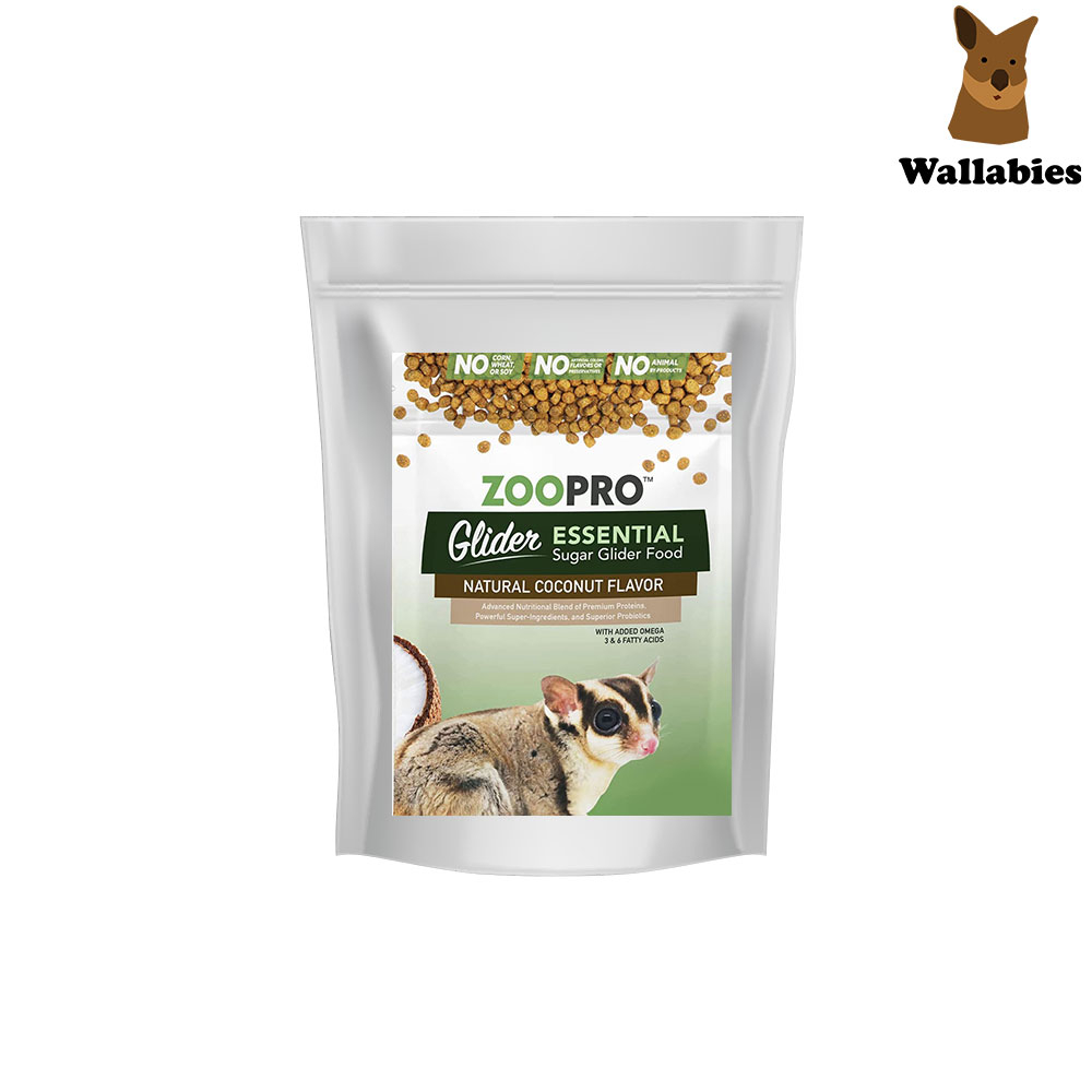 (แบ่งขาย) Exotic Nutrition -Zoopro Glider Essential 100g ซูโปร ไกลเดอร์ ...