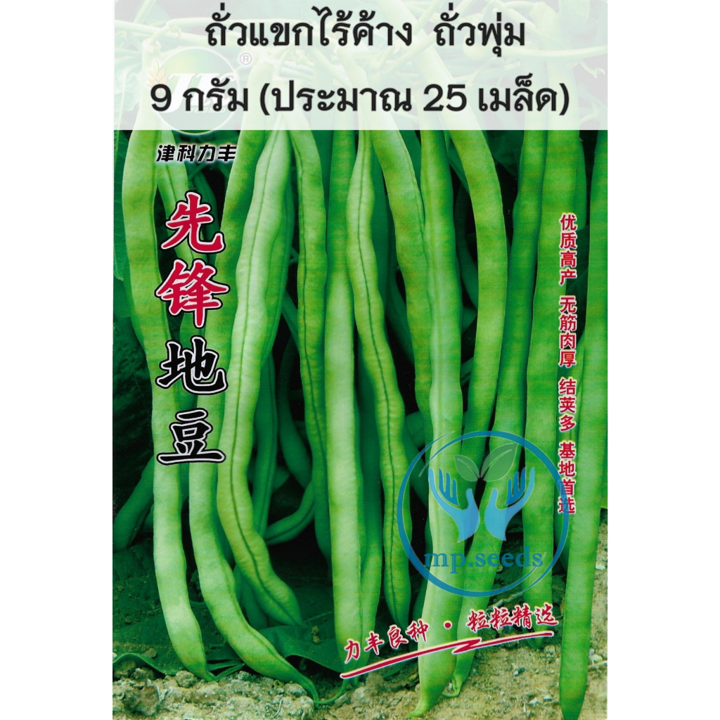 เมล็ดพันธุ์ ชุด ถั่วแขกไร้ค้าง ถั่วฝักยาว ฯ | Shopee Thailand