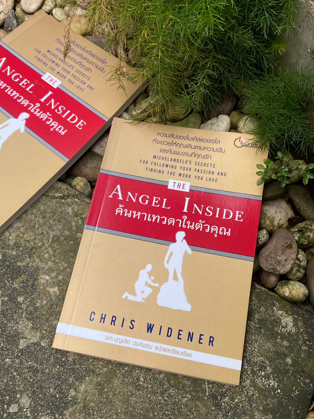 ค้นหาเทวดาในตัวคุณ The Angel Inside(สต๊อก สนพ) B1/3-08 | Shopee Thailand