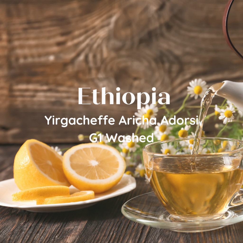 สารกาแฟ Ethiopia Yirgacheffe Aricha Adorsi G1 Washed | Shopee Thailand