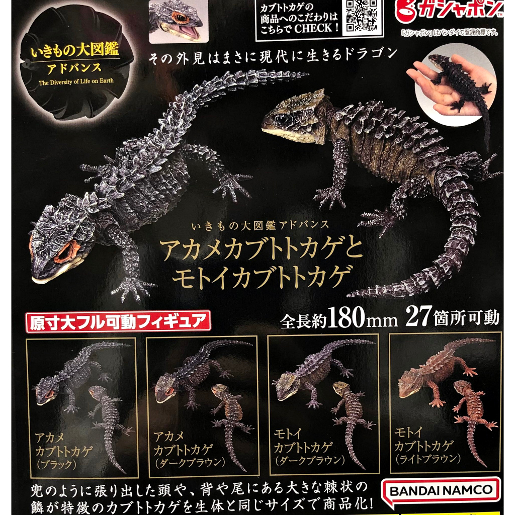 (เพิ่มครบชุดพร้อมส่ง) กาชาปองจิ้งเหลนจระเข้ Gachapon Bandai Premium Red ...