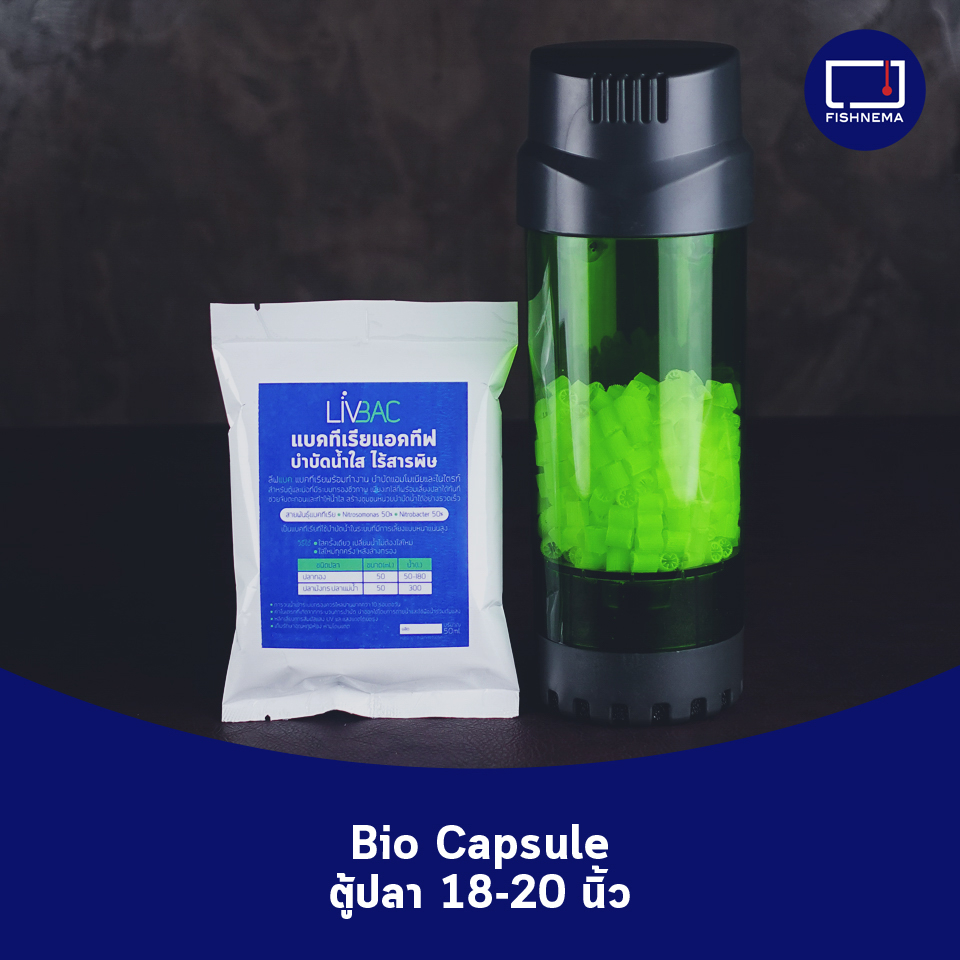 ไบโอแคปซูล Bio Capsule ชุดแคปซูลชีวภาพ สำหรับตู้ปลา 18-20 นิ้ว | Shopee ...