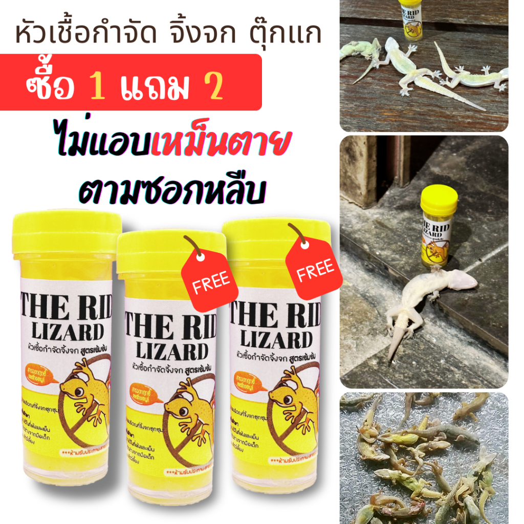 (1 แถม 2) ได้ 3 หลอด The Rid Lizard เจลหัวเชื้อกำจัดจิ้งจก ตุ๊กแก สูตร ...