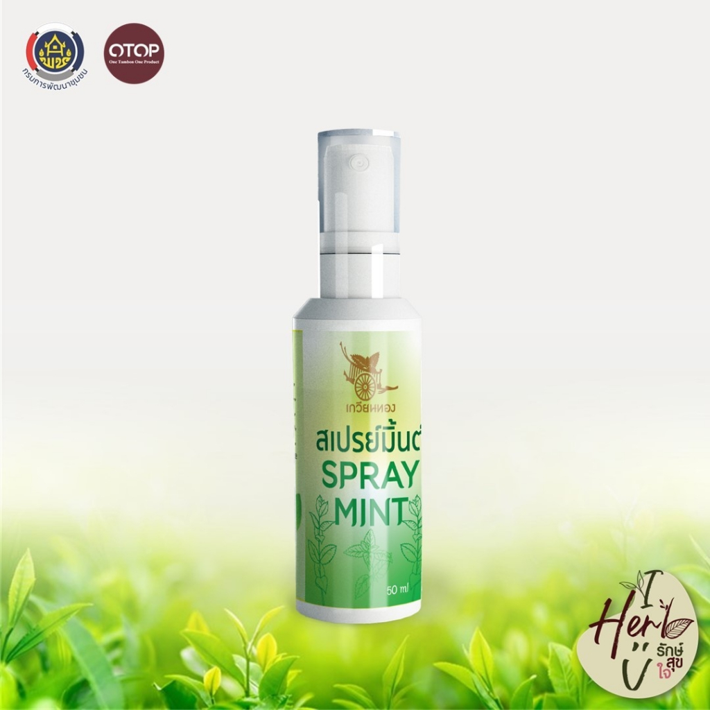 สเปรย์มิ้น (Spray Mint) | Shopee Thailand