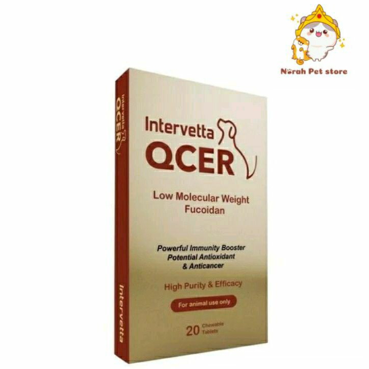 QCER เสริมภูมิคุ้มกันให้สมดุลย์ บรรจุ 20เม็ด | Shopee Thailand