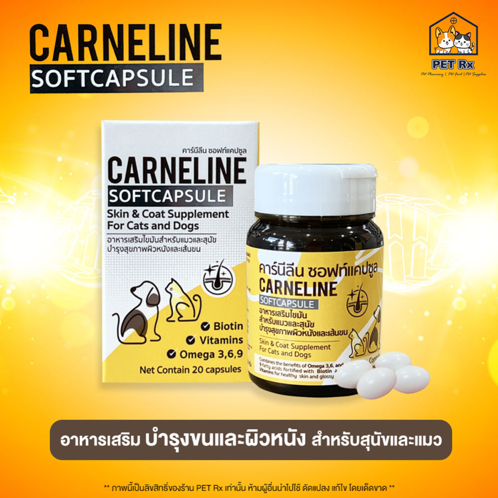 Carneline [แท้💯] อาหารเสริมบำรุงขนและผิวหนัง สำหรับสุนัขและแมว (คา ...