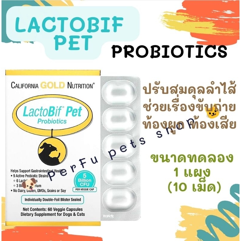 LactoBif Pet Probiotics สำหรับสุนัขและแมว 🎏🇺🇸 พร้อมส่ง.. แบ่งขาย ปรับ ...