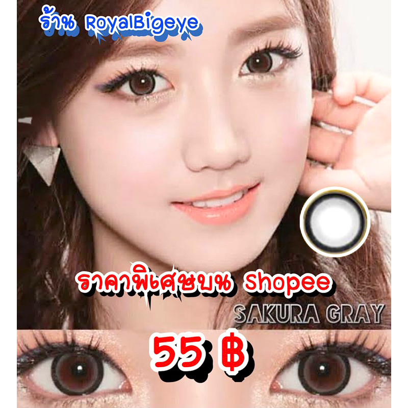 คอนแทคเลนส์ Sakura Gray (Gaezz Secret) สีเทาขนาดบิ๊กอายตัดขอบแบ๊วอันดับ ...