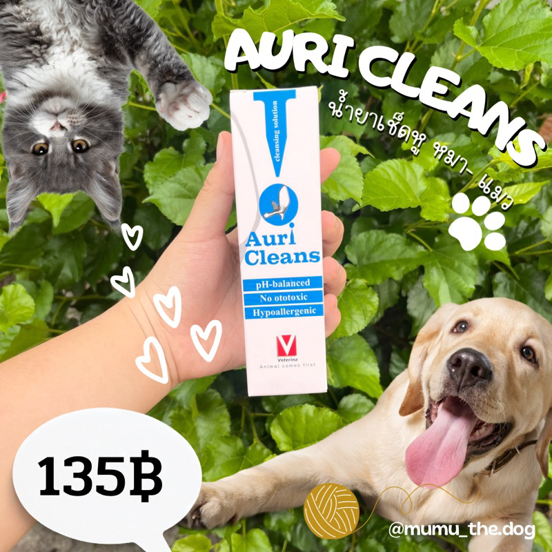 Auri Cleans 100ml น้ำยาทำความสะอาดหู หมา-แมว | Shopee Thailand