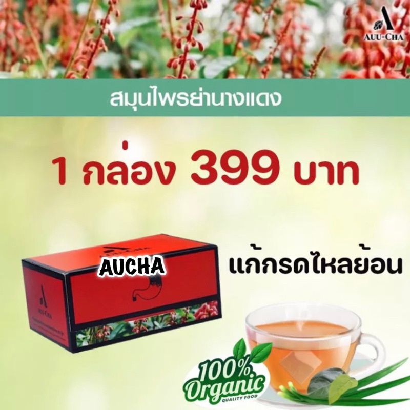 Auu-Cha อู่ชา ชาลดกรดไหลย้อน อาหารไม่ย่อย | Shopee Thailand