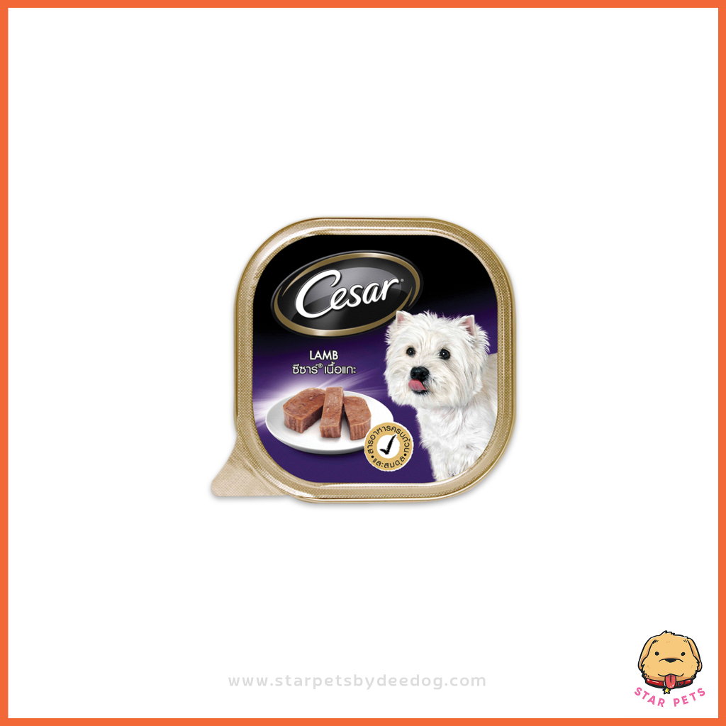 (12ถาด) Cesar ซีซาร์ อาหารสุนัข ขนาด 100กรัม (คละได้) Cesar Tray ...
