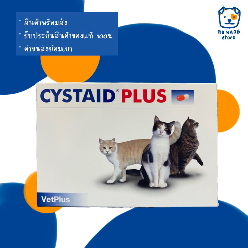 CYSTAID PLUS อาหารเสริมบำรุงทางเดินปัสสาวะ (หมดอายุ 03/2025) | Shopee ...