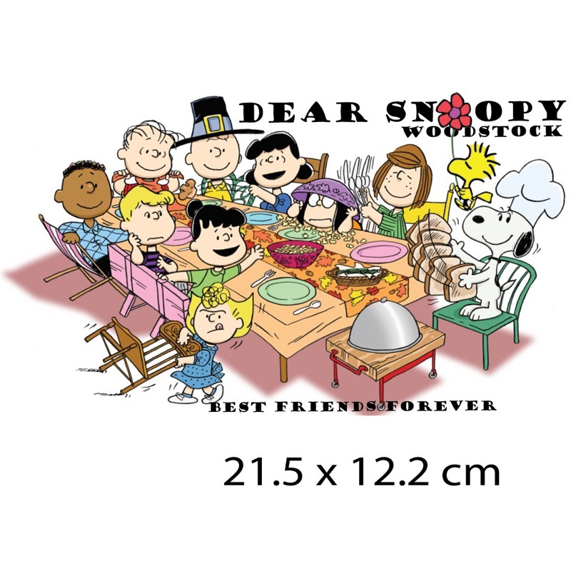 ตัวรีด สติกเกอร์รีด ใช้เตารีดรีดได้เลยครับ | Shopee Thailand