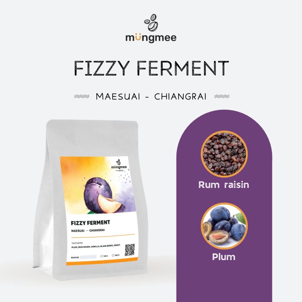 Mungmee Coffee เมล็ดกาแฟ คั่วอ่อน Leepee - Fizzy Ferment | Shopee Thailand