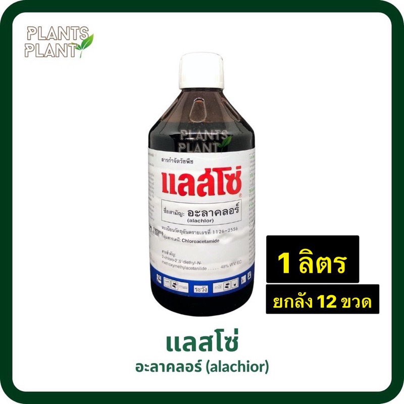 (ยกลัง12ขวด) อะลาคลอร์ (alachlor) แลสโซ่ 1 ลิตร [กำจัดวัชพืช หญ้านกสี ...
