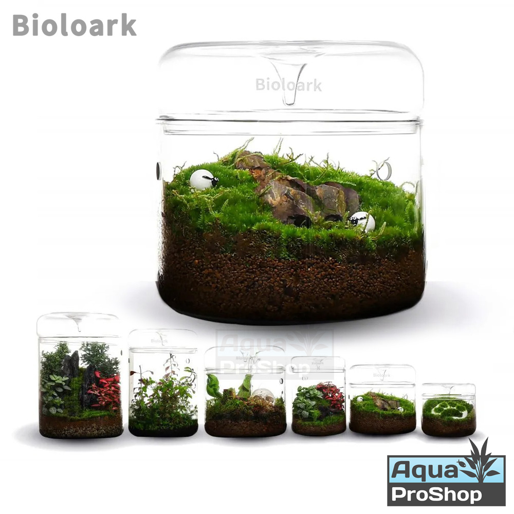 Bioloark Dew Cup Terrarium โหลแก้วเทอราเรี่ยม โหลเลี้ยงต้นไม้ MY-120 MY ...
