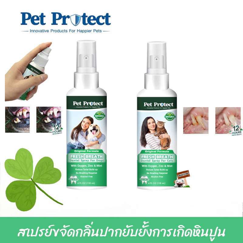 Pet Protect Dental Spray 118มล. สเปรย์ดับกลิ่นปากแมว สูตร Original ช่วย ...