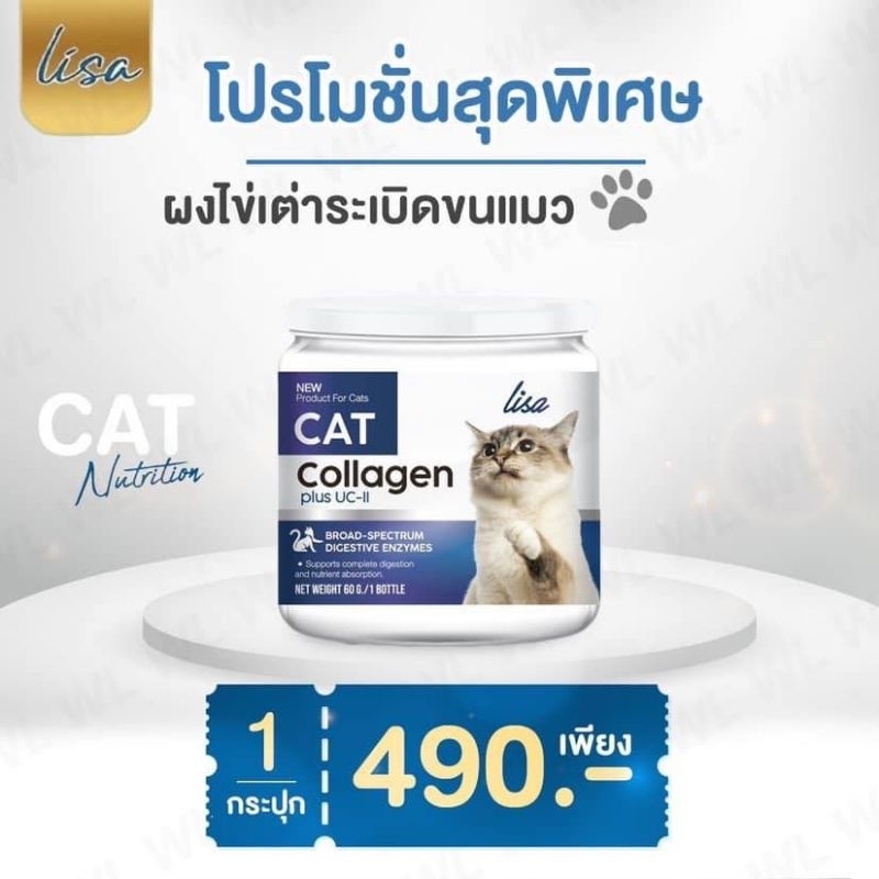 [EXP08/68] Lisa cat collagen 60g | Shopee Thailand