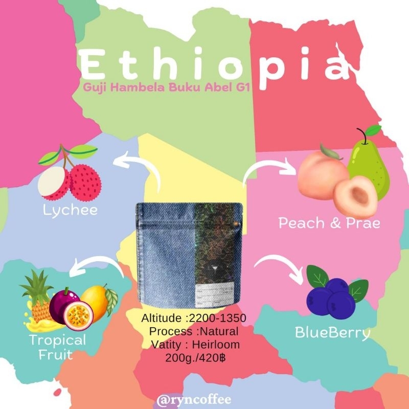 Ethiopia Guji Hambela Buku Abel Natural G1 | Shopee Thailand