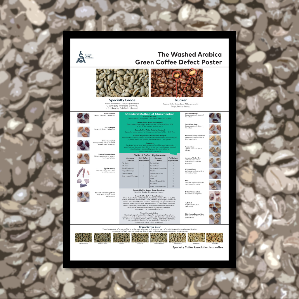 Poster : การจำแนกเมล็ดสารกาแฟบกพร่อง [Washed Arabica Green Coffee ...