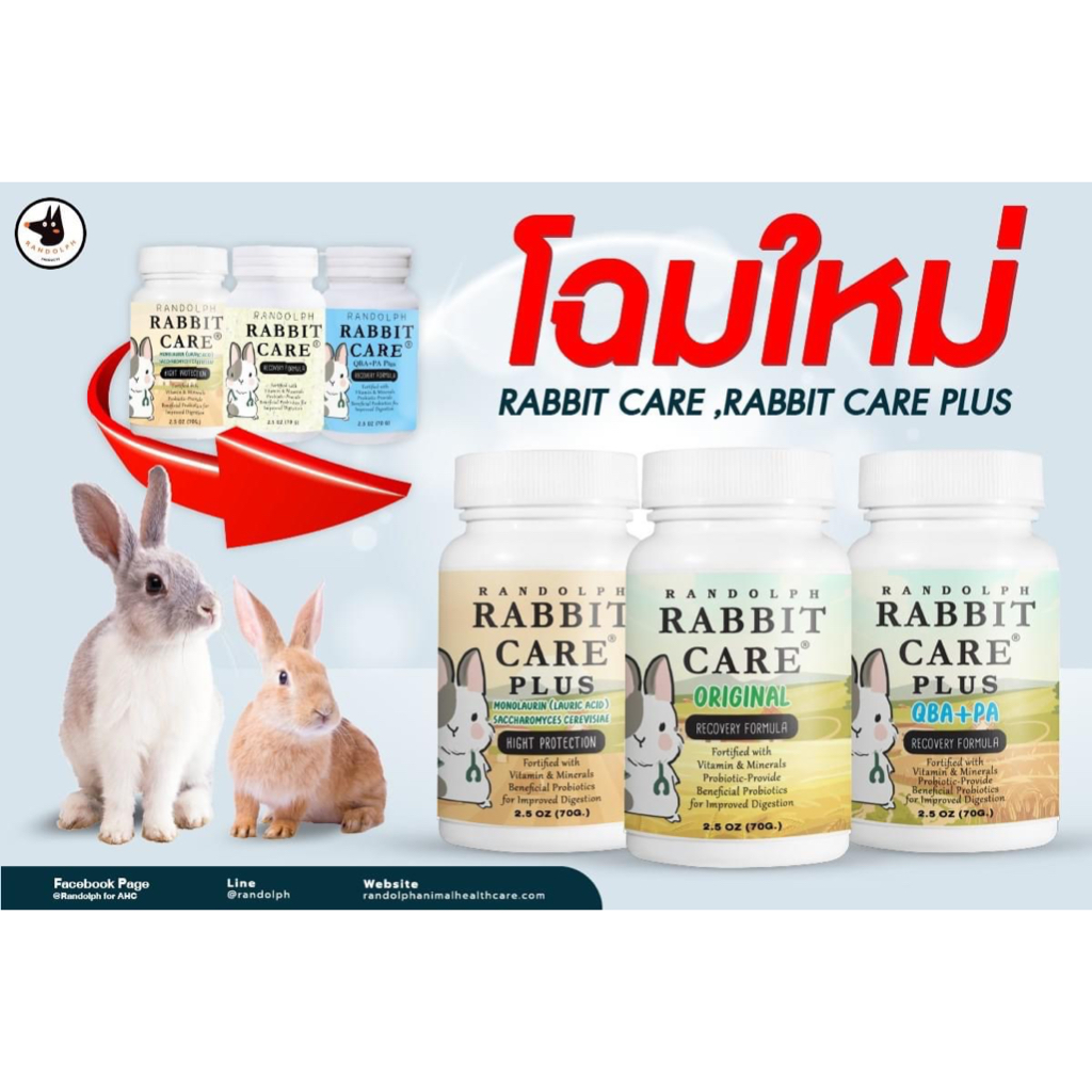 Randolph Rabbit Care แรบบิทแคร์ อาหารฟื้นฟูสำหรับกระต่ายป่วย (3สูตร/70G ...